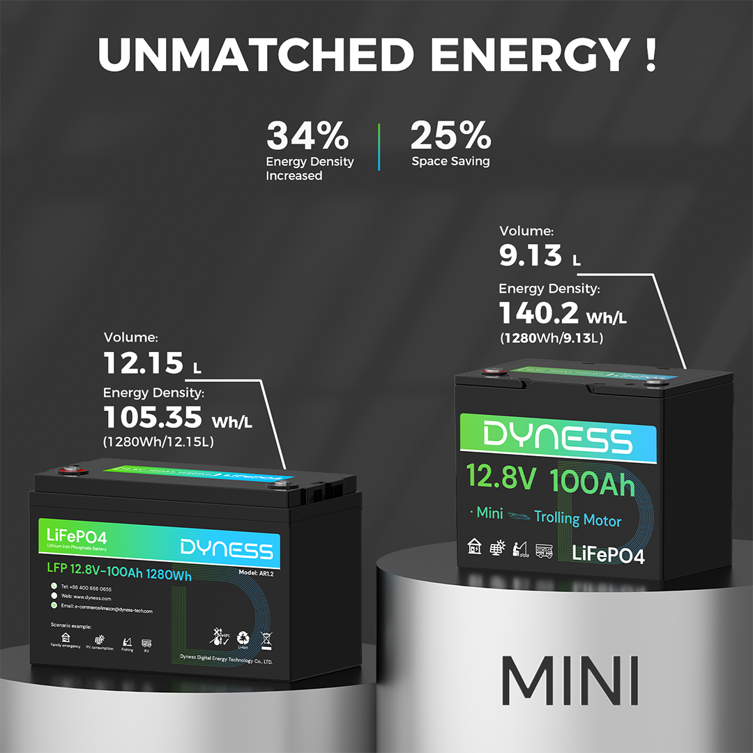Dynesspower 12V 100Ah Group 24 LiFePO4 Lithium Deep Cycle Battery ...