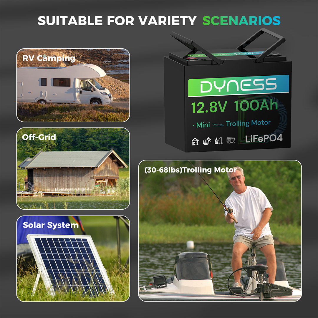 Dynesspower 12V 100Ah Group 24 LiFePO4 Lithium Deep Cycle Battery ...